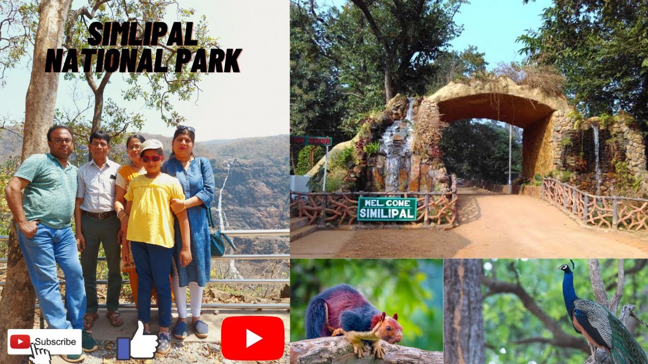 Simlipal National Park | Forest Tour | One Day Trip SIMILIPAL Wildlife ...