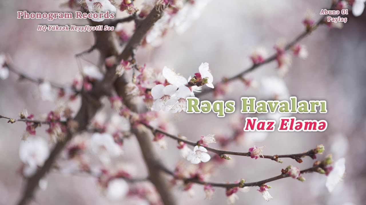 Naz Eləmə,Naz Eleme-Rəqs Havaları,Azərbaycan Rəqsi - YouTube