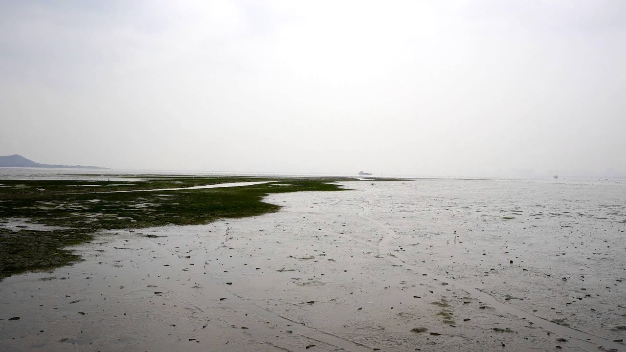 Timelapse over the Deep Bay Mudflats - YouTube