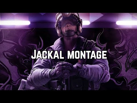 Jackal Montage