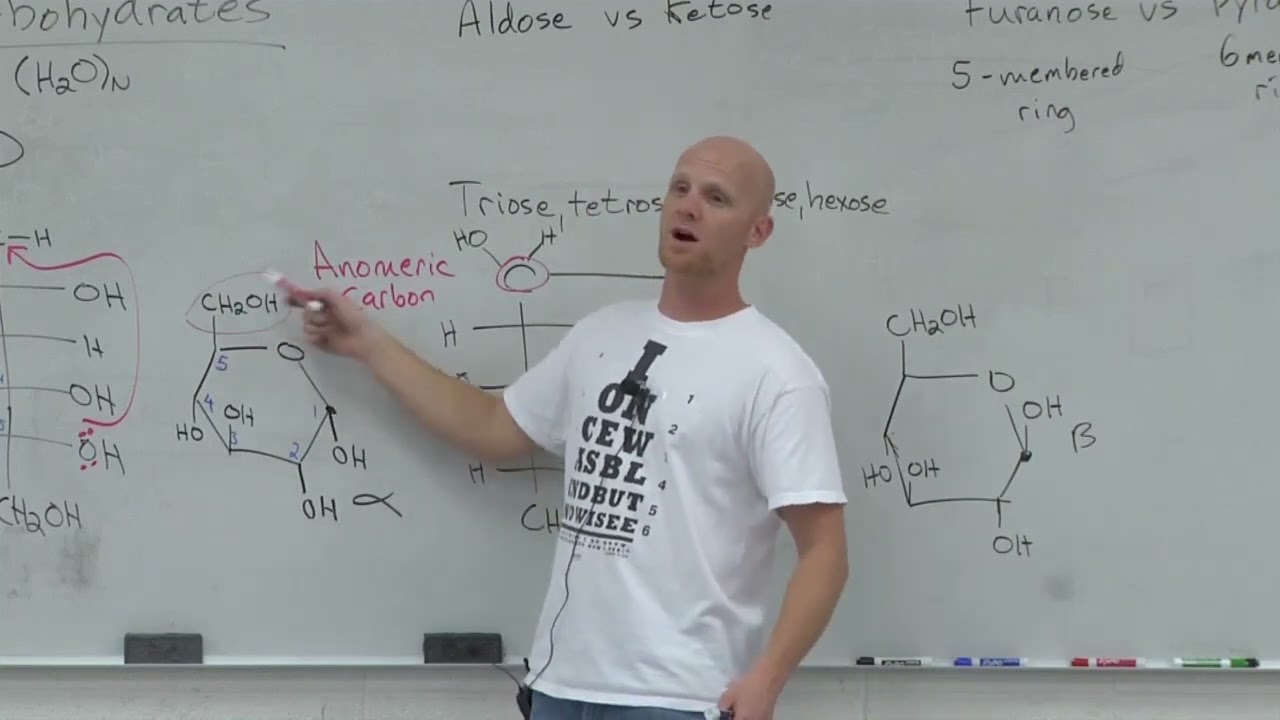 7.2 Cyclization of Sugars and the Anomeric Carbon - Chad's Prep®