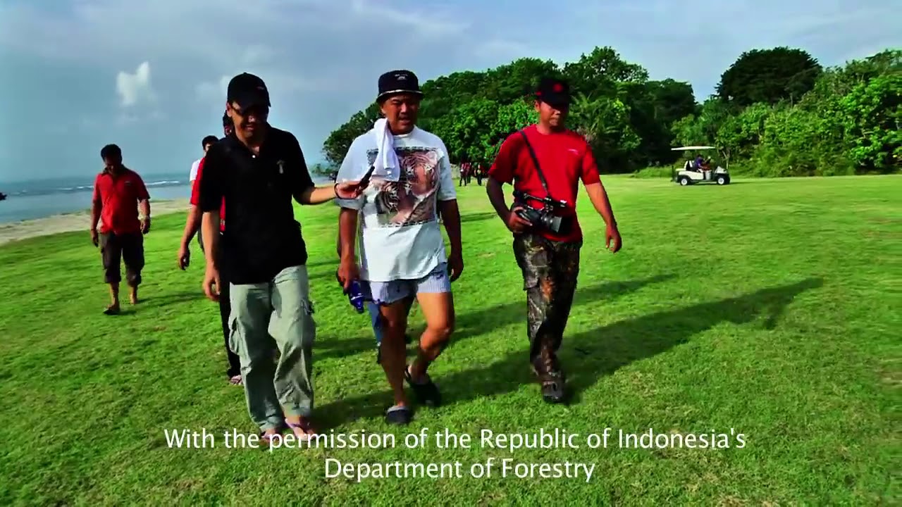 Film Dokumenter Tambling Wildlife Nature Conservation - YouTube
