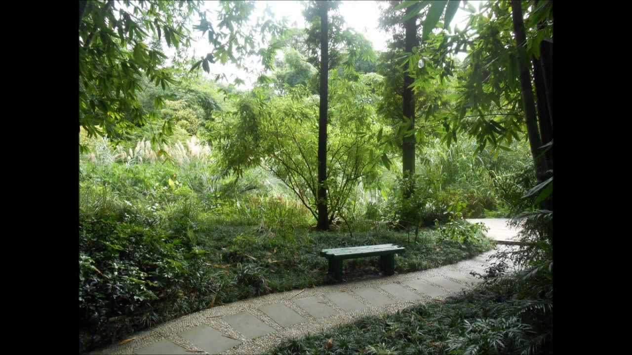 Wangjiang Bamboo Park, Chengdu, China - YouTube