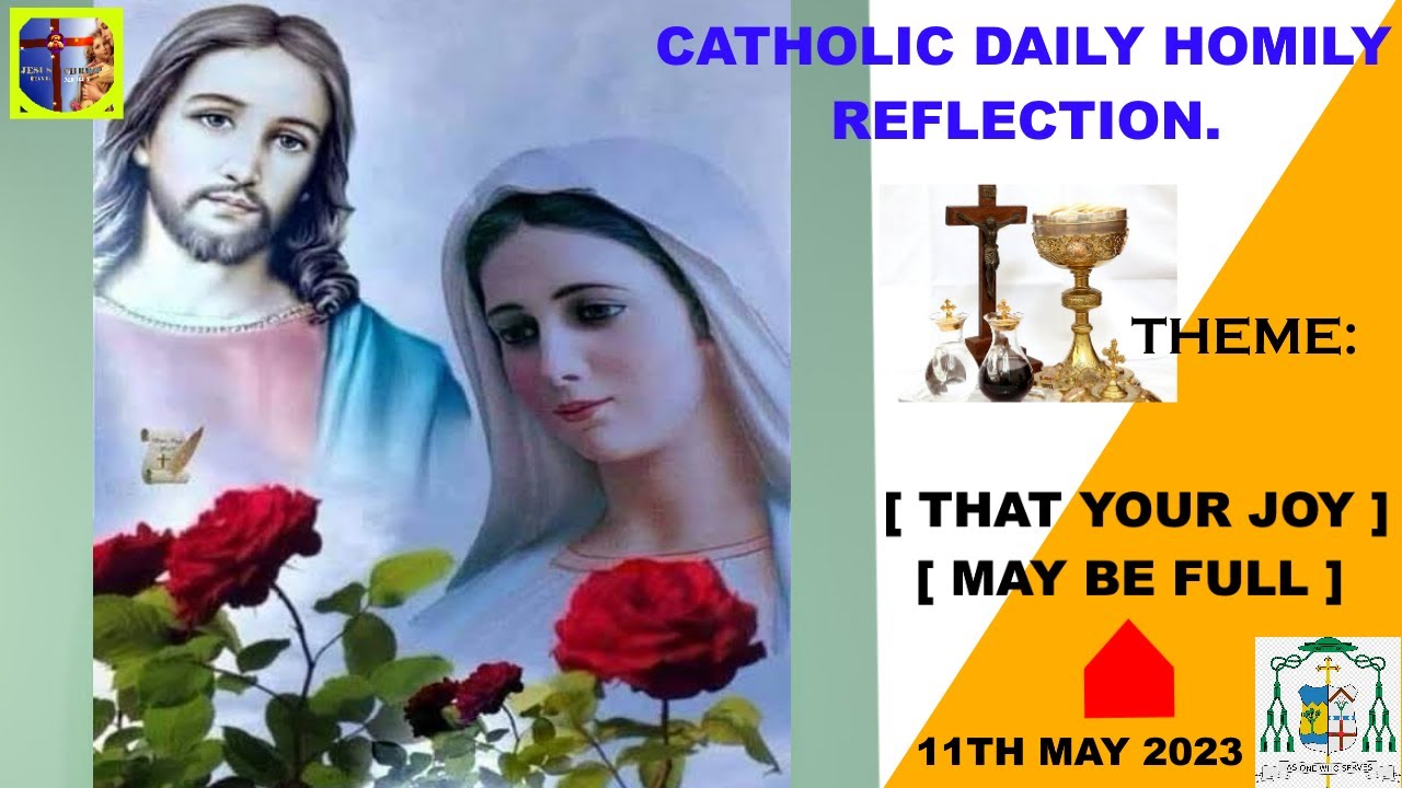 Catholic daily homily reflection for today ( THAT YOUR JOY MAY BE FULL ...
