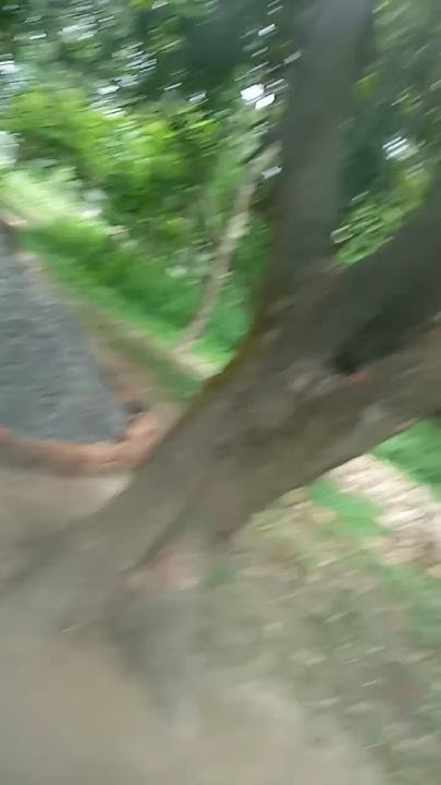 21 June 2024 - YouTube