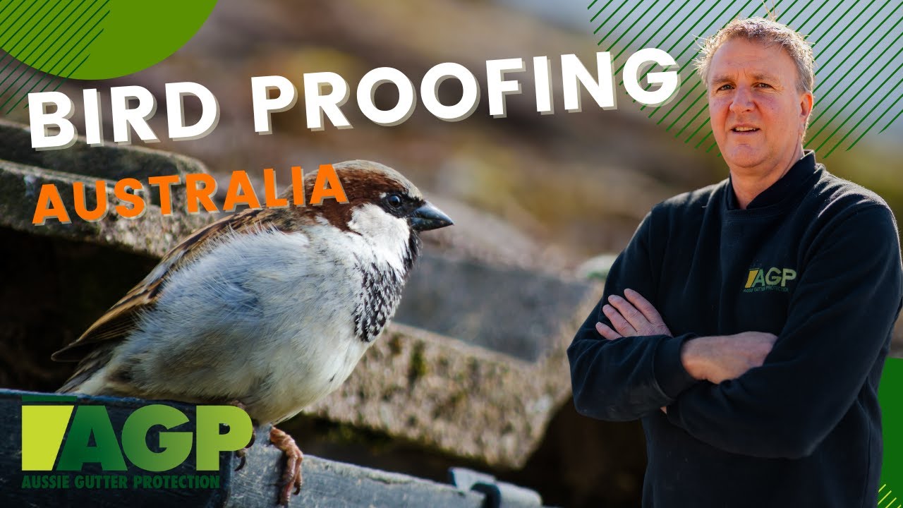 Bird Proofing in Australia with Gutter Protection Systems - YouTube