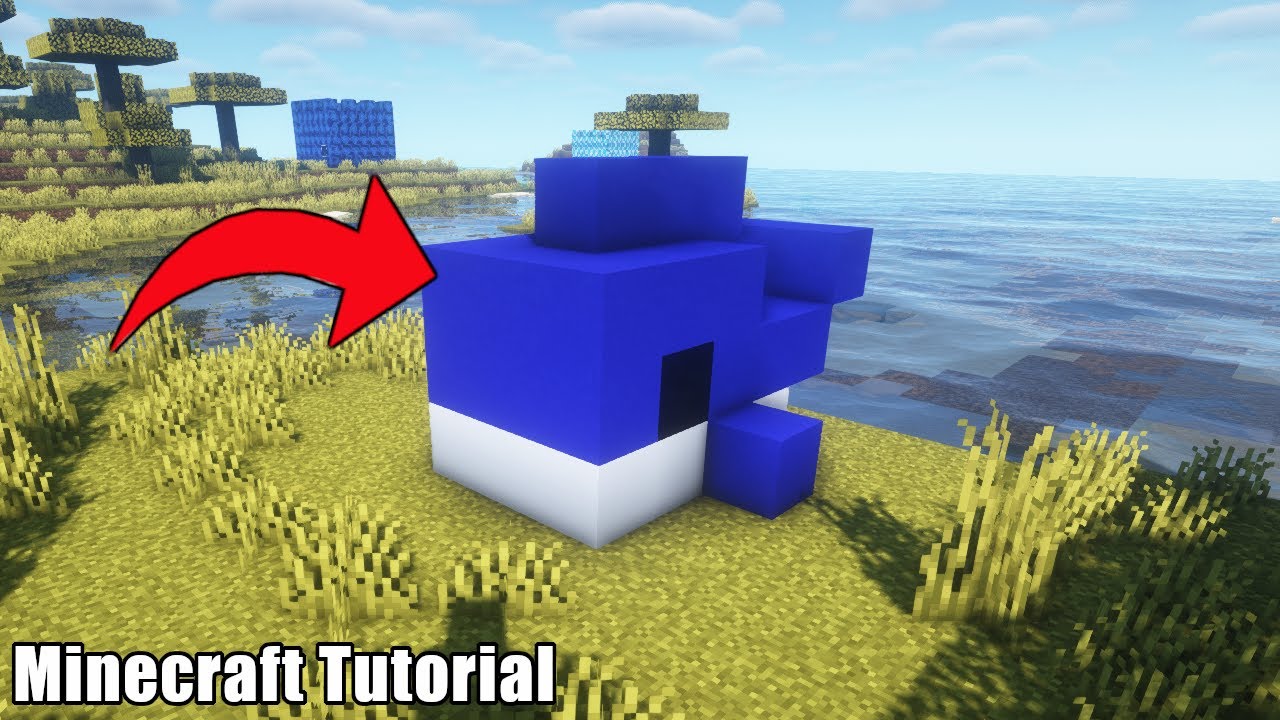 Minecraft Whale How Whale Is This Build In CREATIVE? | Learning To