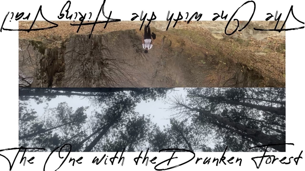 armenia: the one with drunken forest/hiking trail double feature ...