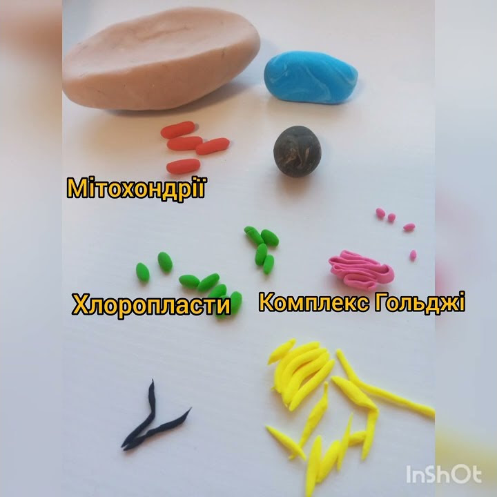 Модель клітини Youtube