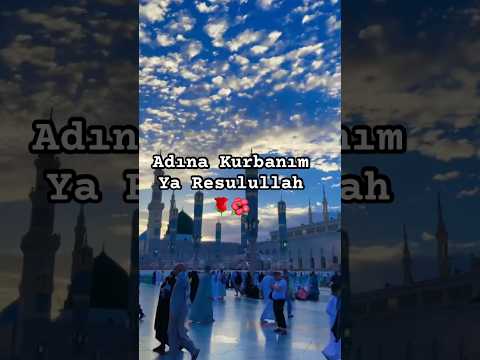Adına kurbanım Ya Resulullah 🌹🌺