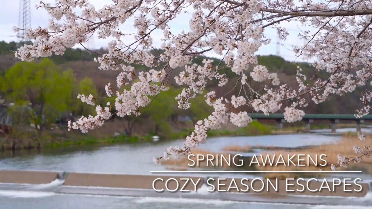 Spring Awakens | 2 Hours of Peaceful Nature Ambience with Blooming ...