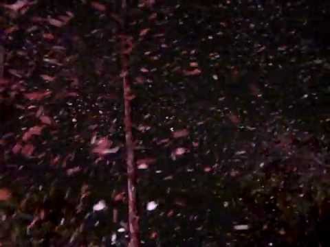 Nieve en la plaza apodaca - YouTube