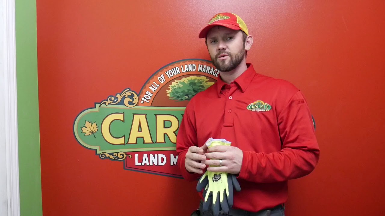 Carlisle Land Management I Pruning - YouTube