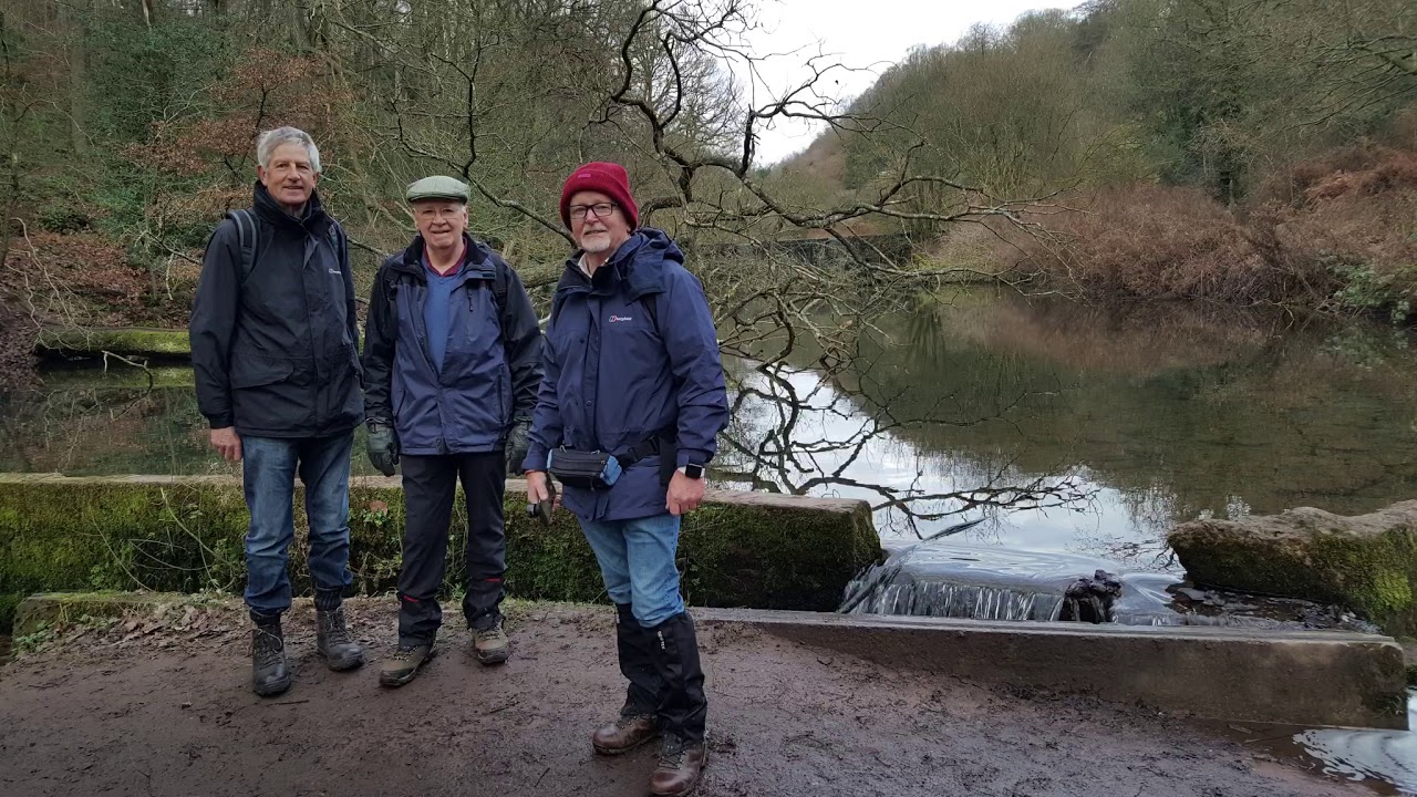 Dimmingsdale, Churnet Valley Walk. January 2020 - YouTube