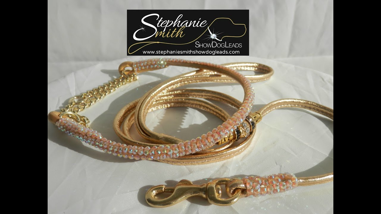 Dog show lead,leather show lead ,leather lead and collar, rolled ...
