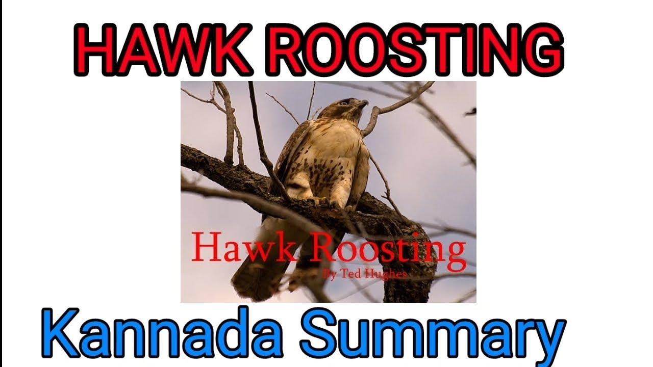 Hawk Roosting summary | Ted Hughes pome Hawk Roosting poem summary pdf ...