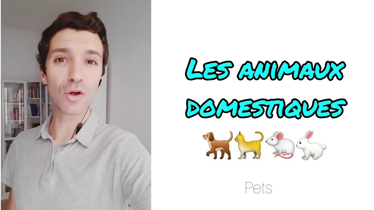 Français A1 le lexique des animaux domestiques - YouTube