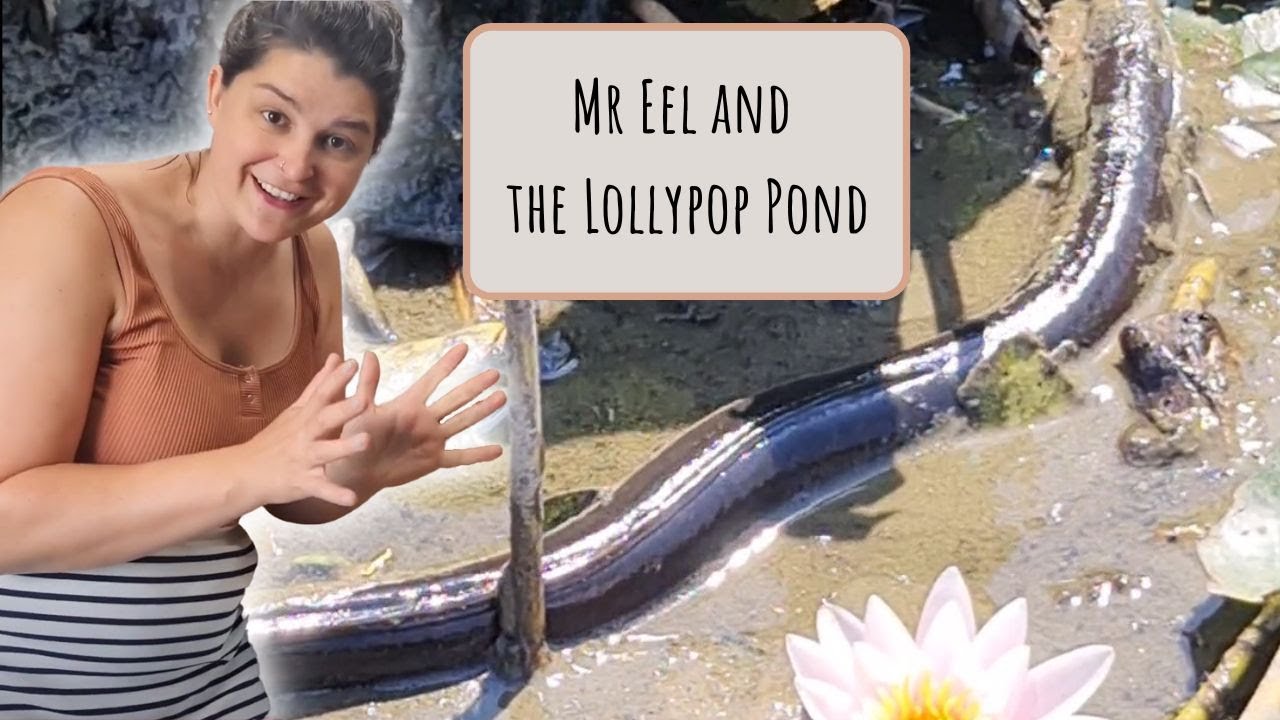 Mr Eel and the Lollypop Pond full 6 parts | How to DIY with Emma - YouTube