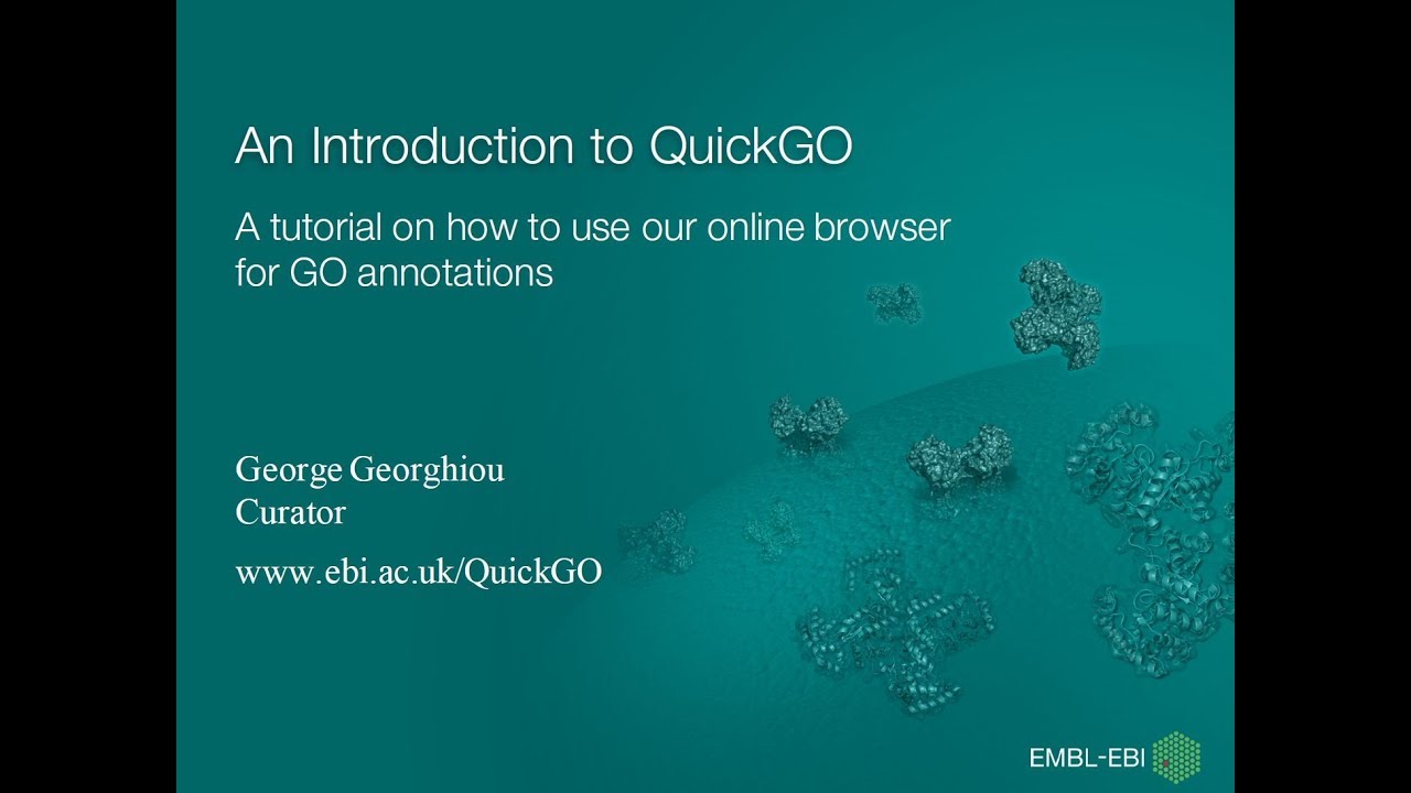 An introduction to QuickGo - YouTube