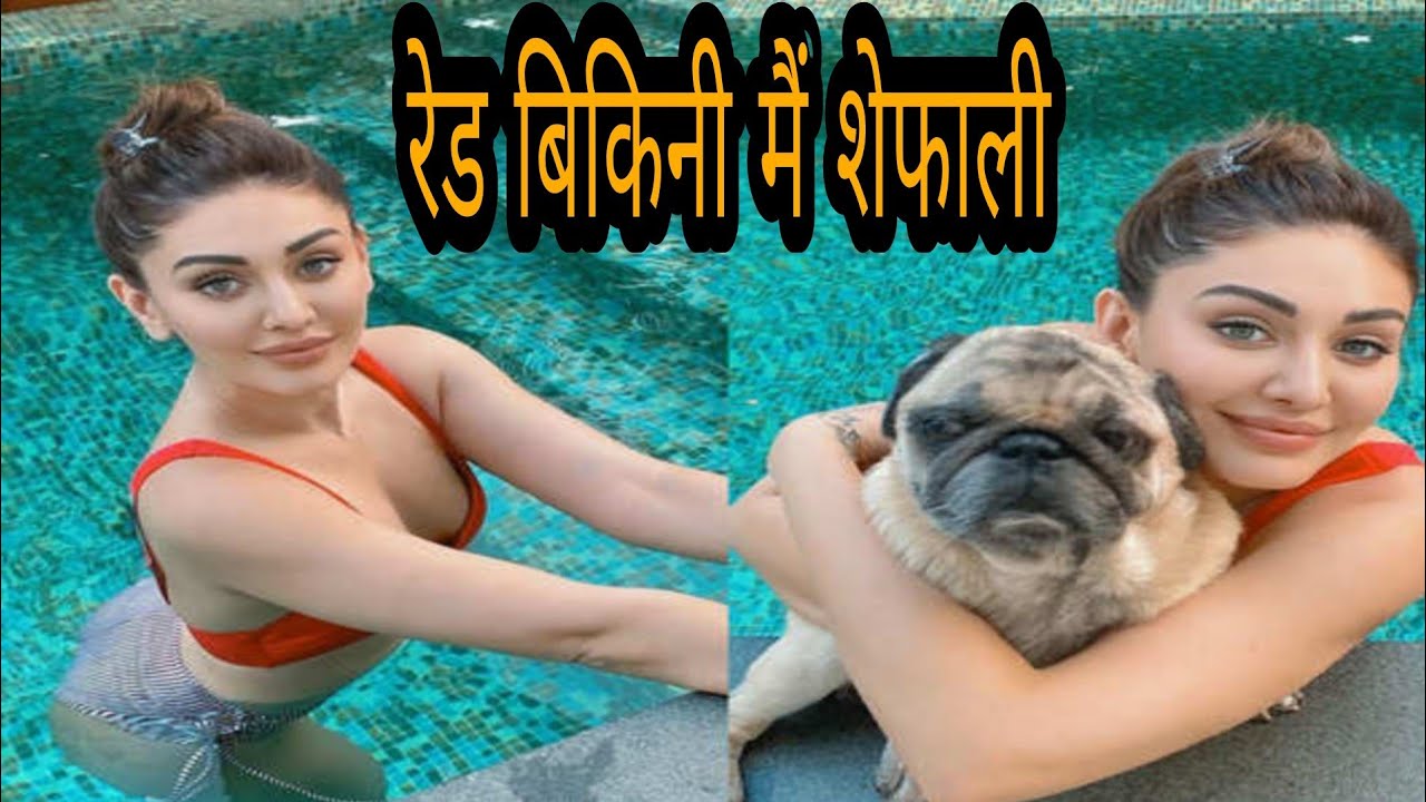 Shefali Jariwala looks hot in red bikini - YouTube