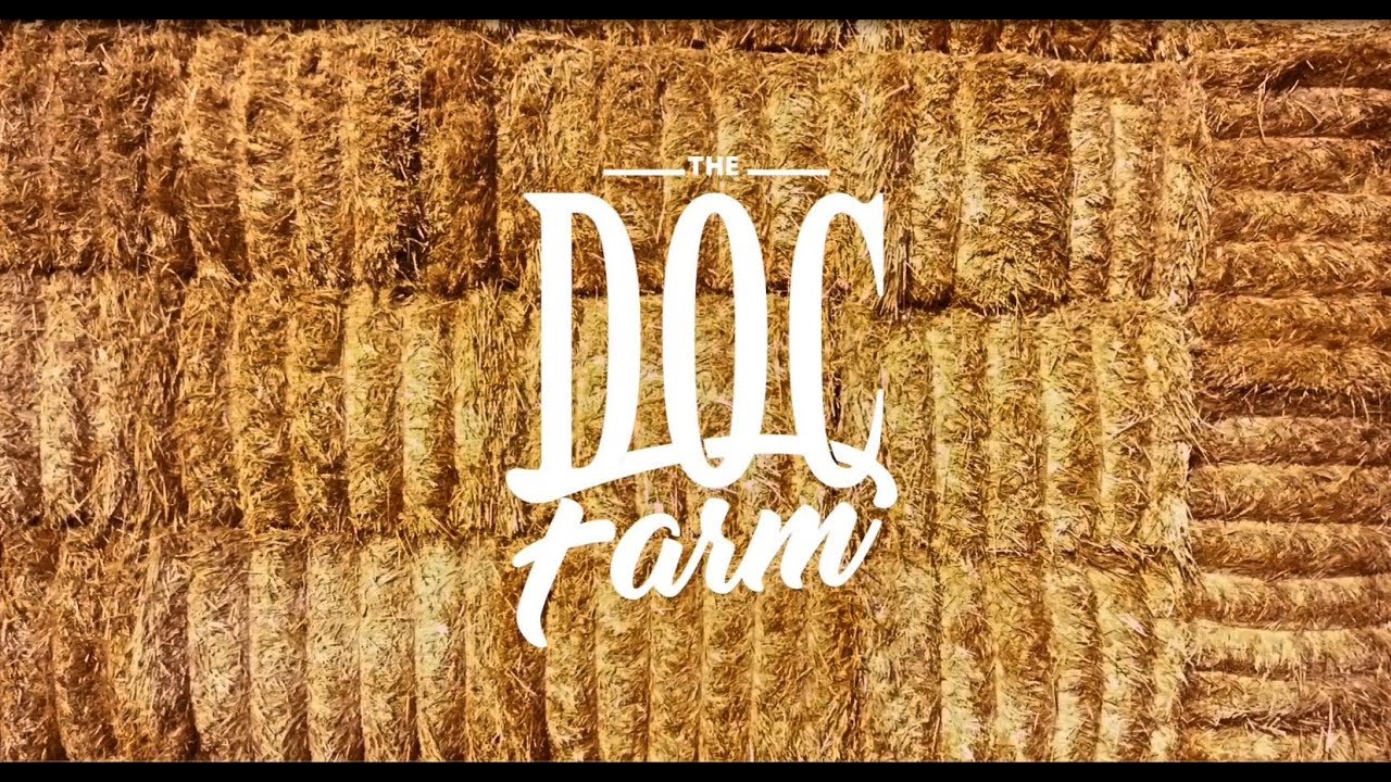 The Doc Farm - Bertinelli Video Completo - YouTube