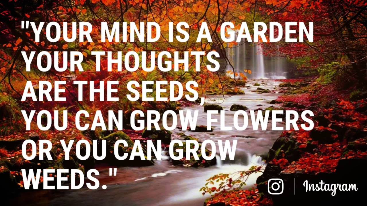 "Your mind is a Garden Your Thoughts are the seeds, You can grow ...