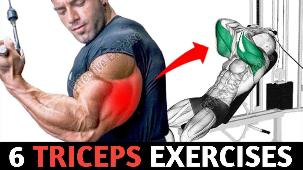6 BEST Triceps Exercises for Bigger Arms - YouTube