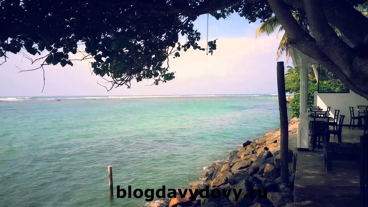 Кафе Reef Edge, Матара(Reef Edge , Matara) февраль 2015, Шри-Ланка (Sri Lanka) - YouTube