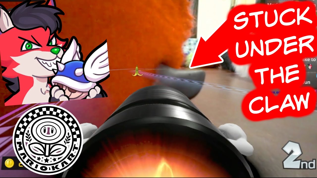 FURRY TRACK in Mario Kart Live: Home Circuit (Flower Cup) - YouTube