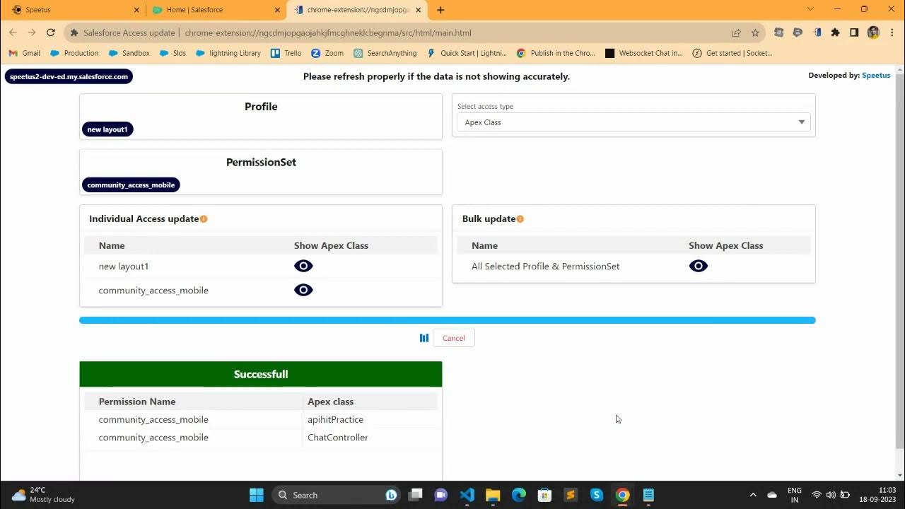 Salesforce Access Update Ext - YouTube