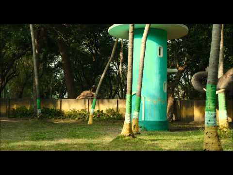 Life Of Pi (Opening Scene) HD