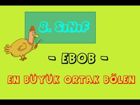 EBOB (En Büyük Ortak Bölen) - 8. Sınıf