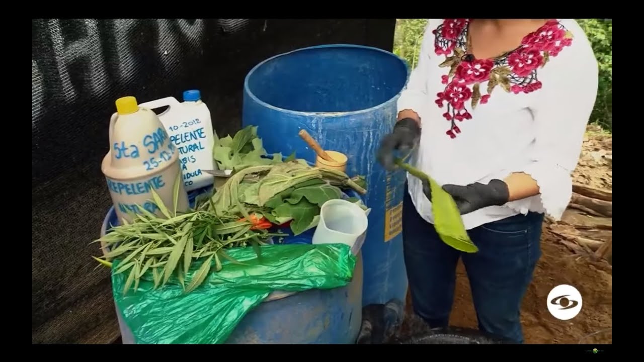 Insumos orgánicos para lograr un mayor control de las plagas y las ...