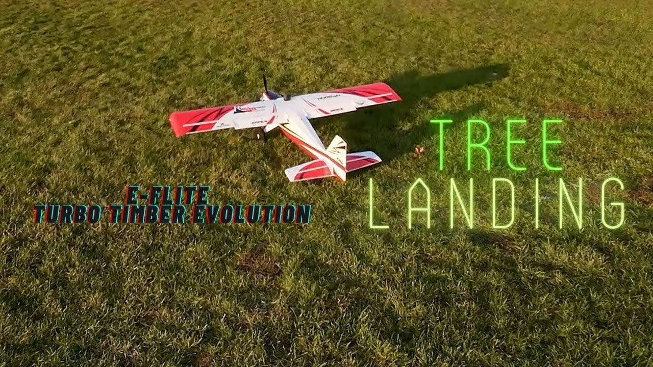 E-Flite Turbo Timber Evolution Tree Landing/Crash - YouTube