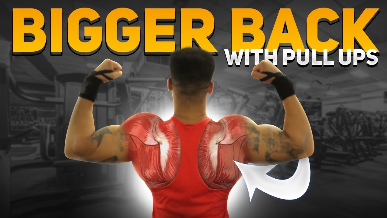 BUILD A BIGGER BACK WITHOUT WEIGHTS-BODYWEIGHT BACK WORKOUT (PULL UP ...
