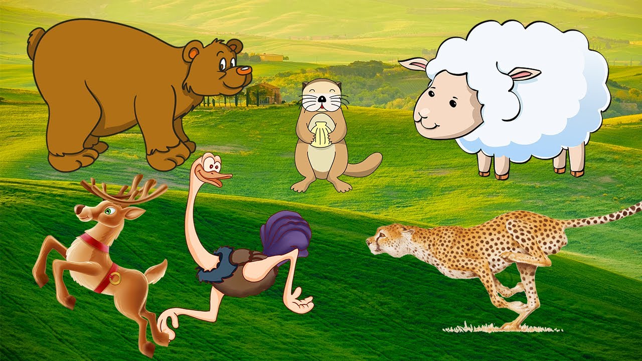 CUTE LITTLE ANIMALS - Bear, Otter, Sheep, Moose, Ostrich, Leopard ...