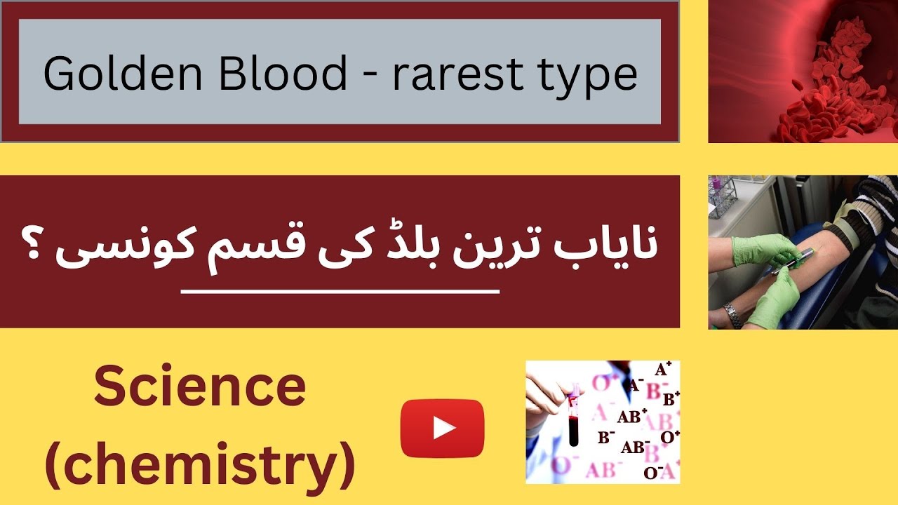 Golden Blood | Rarest blood type in the world? | Fact Dropper - YouTube