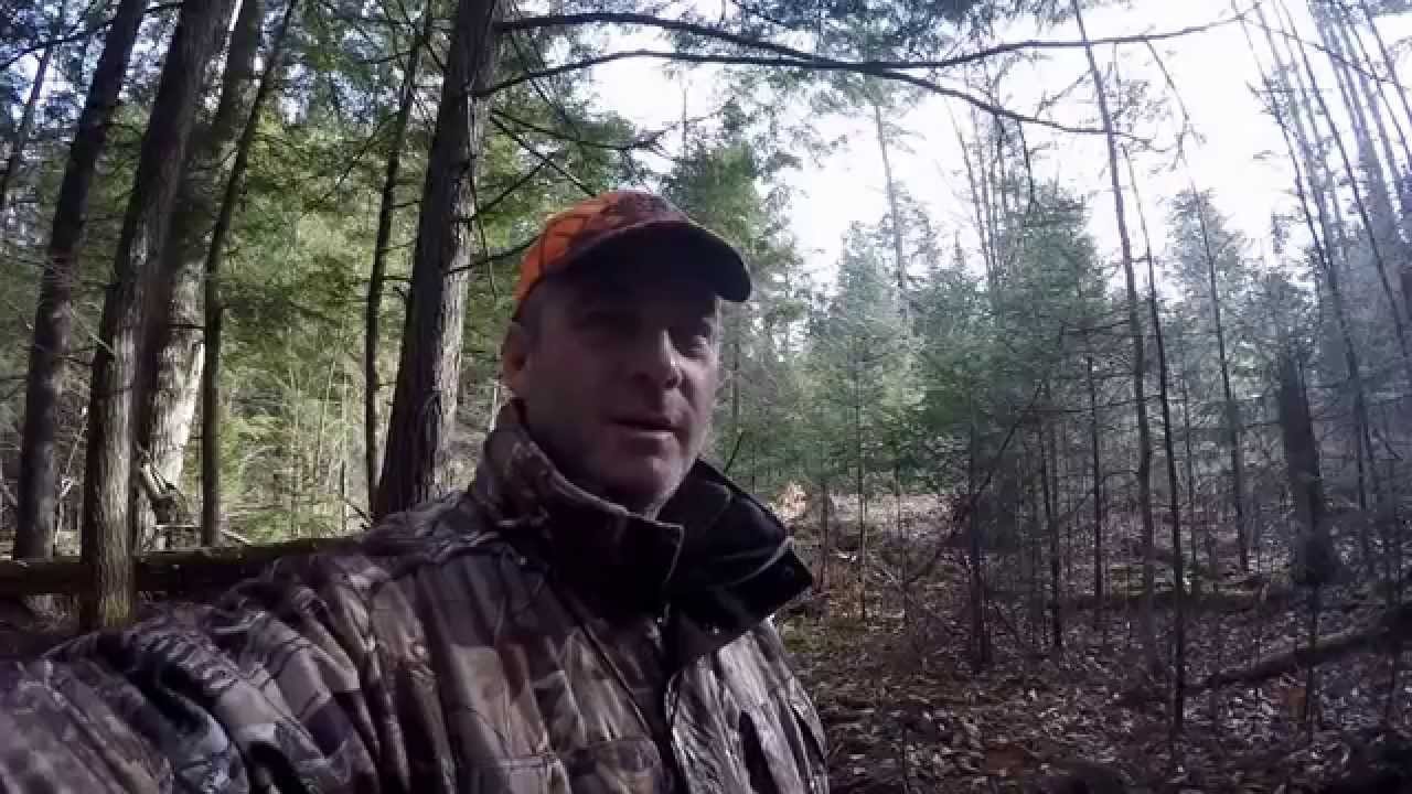 Deer walks up behind me. New Hampshire Deer Hunt - YouTube