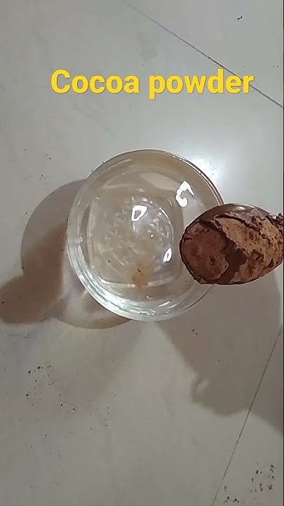 cocoa powder & water - YouTube