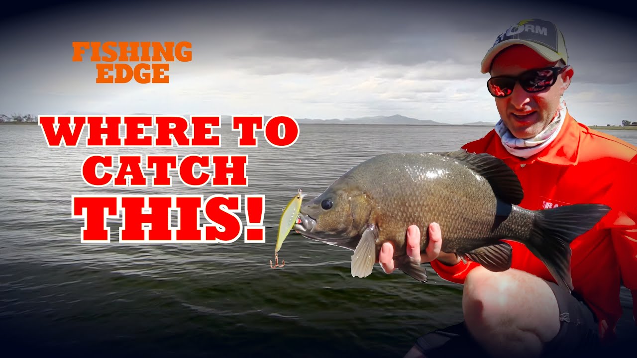 Fishing Edge episode - Sooty Grunter at Eungella Dam - YouTube
