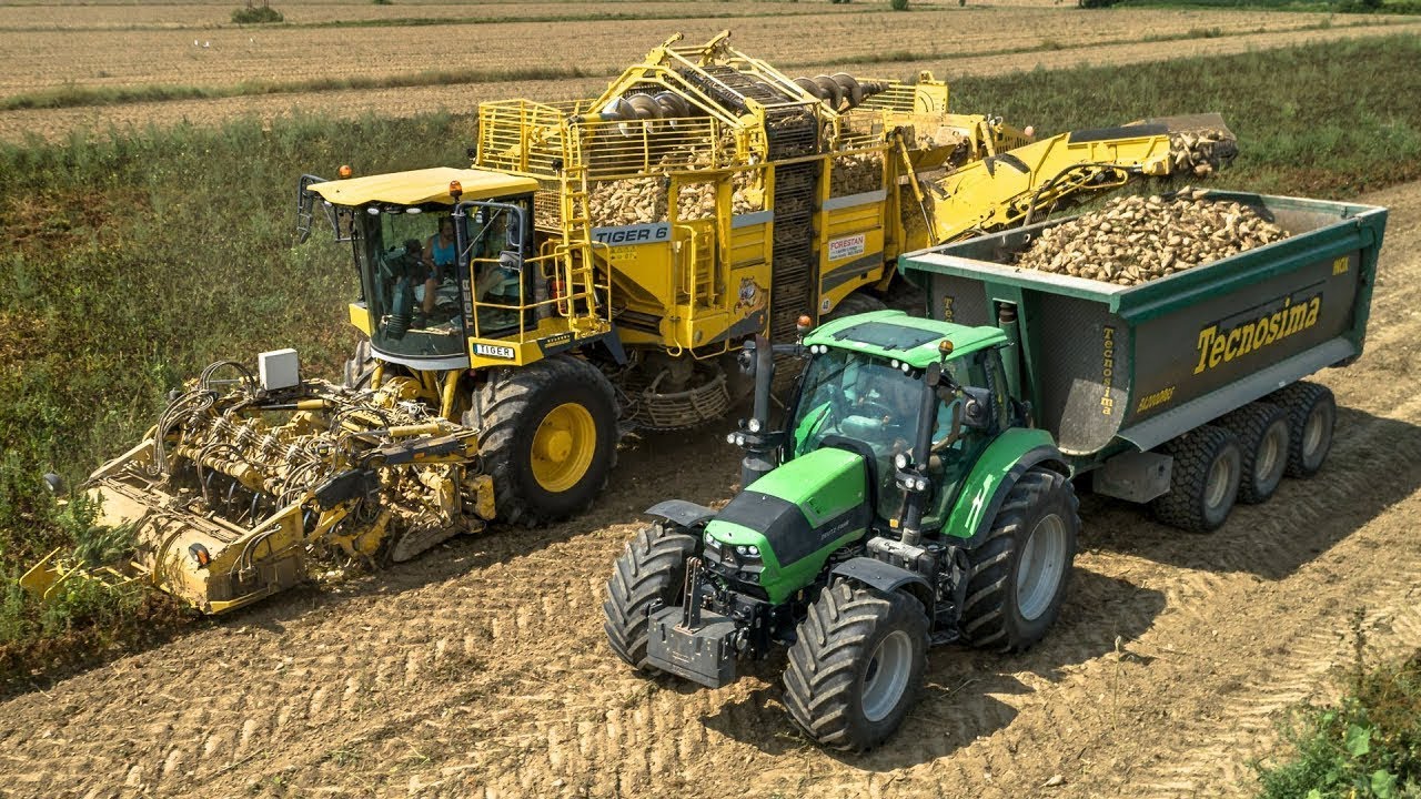 Sugar beet harvester ROPA Tiger 6 #04 - YouTube