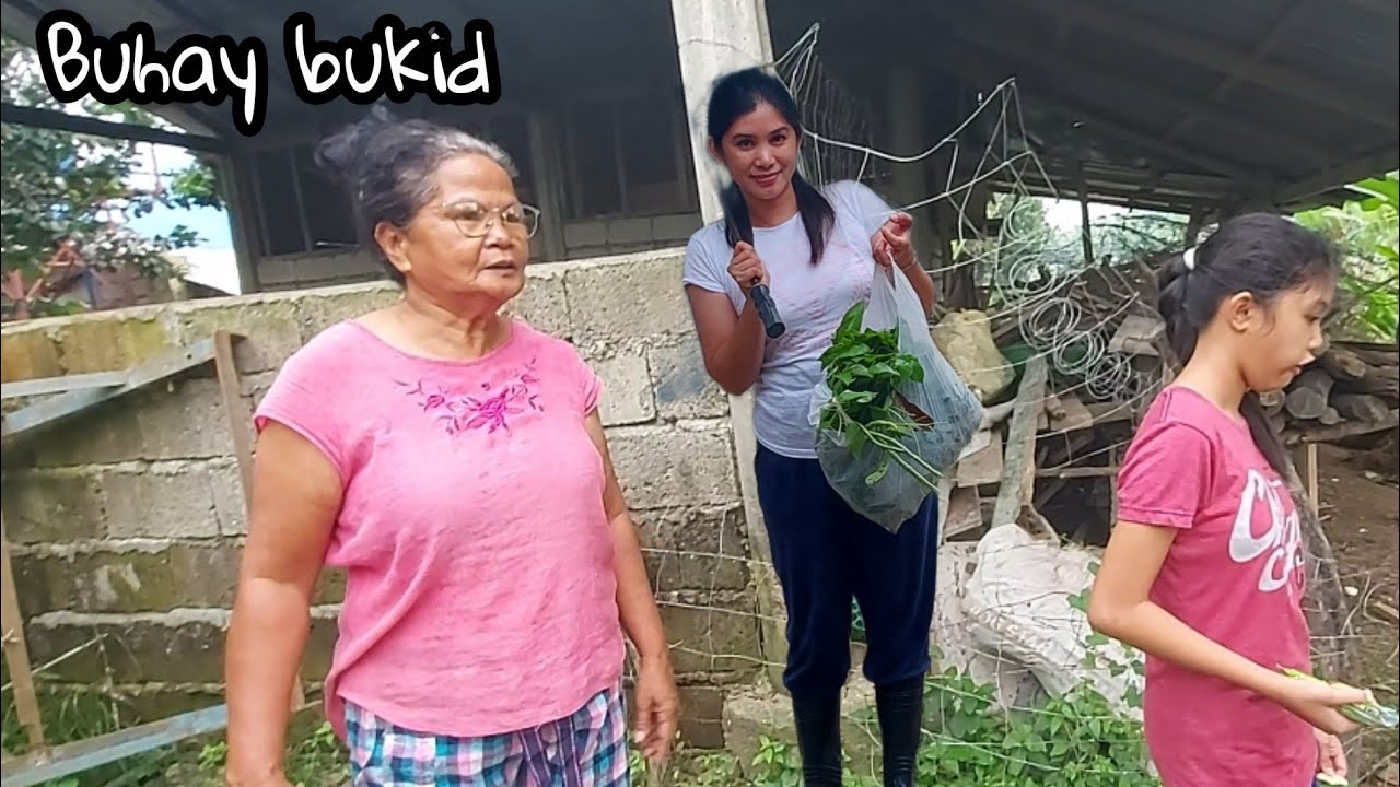 Gala sa bukid after 1week na bakasyon #buhayprobinsya #simplengbuhaysabukid # ...