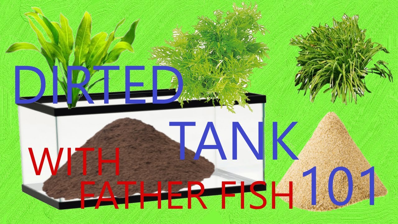 Dirted Tank 101 with Father Fish - YouTube