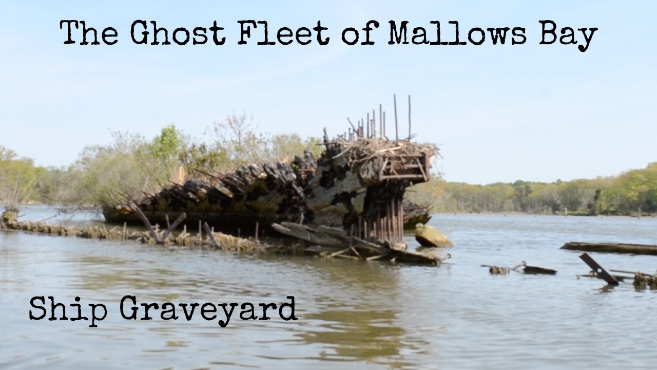 The Ghost Fleet of Mallows Bay (Ship Graveyard) - YouTube