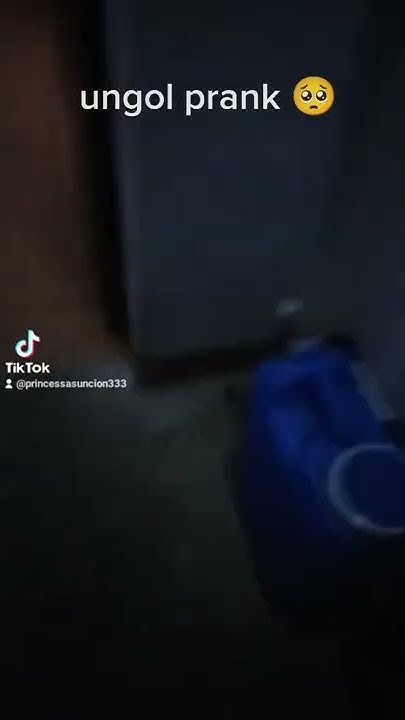 ungol prank! - YouTube