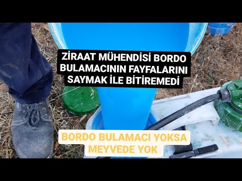 Ziraat Mühendisi El yapımı Bordo Bulamacı (BAKIR SÜLFAT%98+KİREÇ) Uygulaması ve MÜKEMMEL FAYDALARI
