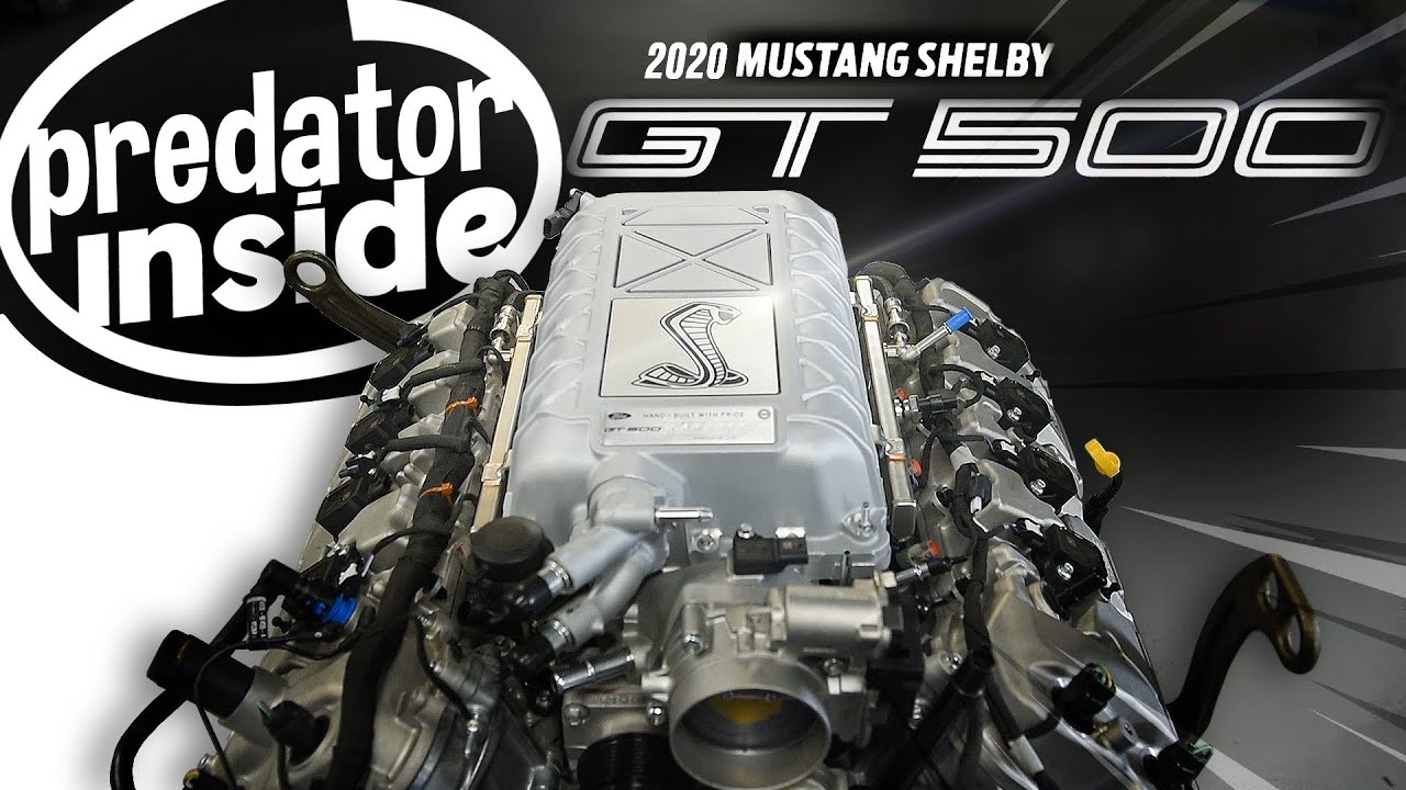 Inside Intel on the World's First 2020 GT500 Predator Swapped Manual ...