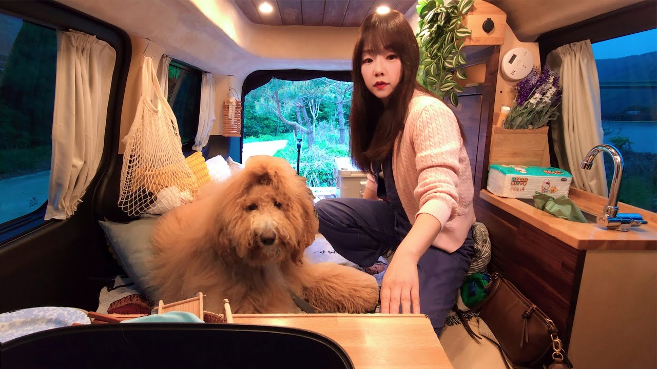 새 소리 가득한 호수에서 강아지와 아늑한 차박 하룻밤 차박 캠핑 솔로 캠핑 캠핑 브이로그 스타리아 캠핑카