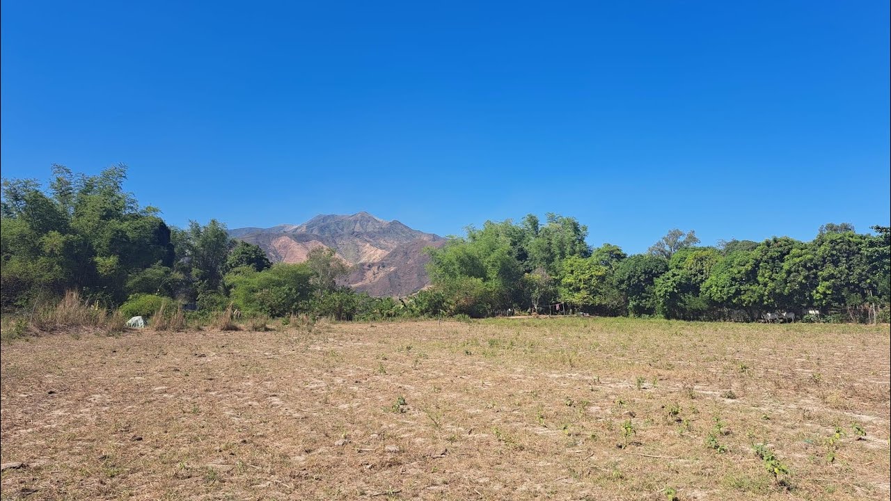 2 Hectare Mountain View Farm in San Antonio, Zambales - YouTube