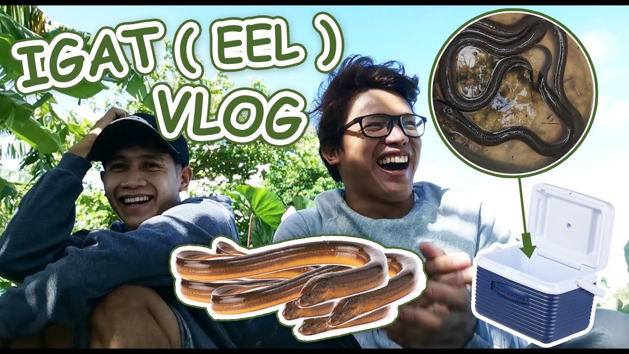 Fishing Vlog (Igat- Eel) - YouTube